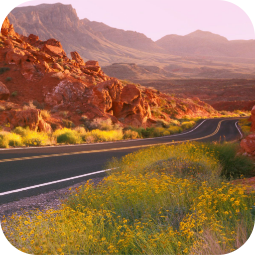 Nevada Local News:Amazon.com:Appstore for Android