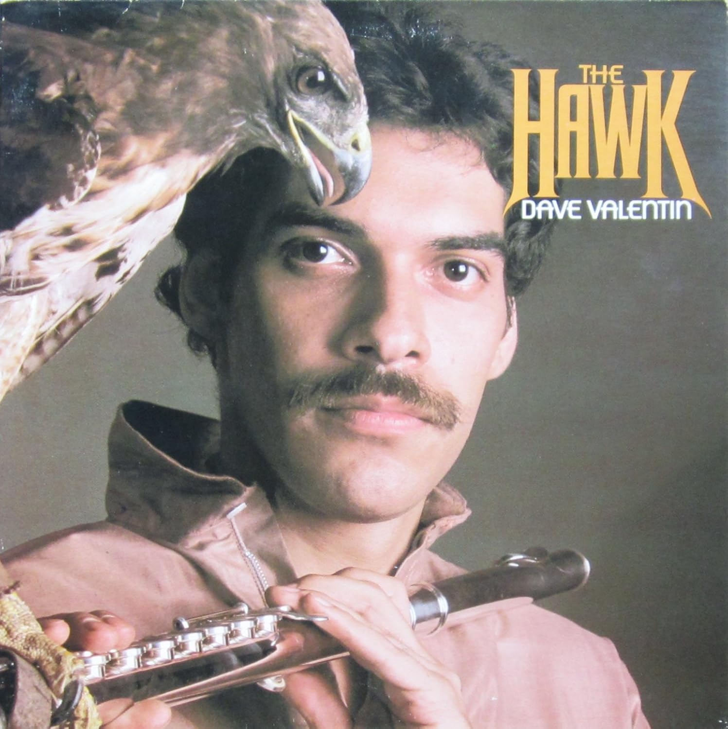 The Hawk [Vinyl LP] [Schallplatte]: Amazon.de: Musik-CDs & Vinyl