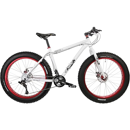 6 Best Fat Bikes 2021 - Bicycle Advisor