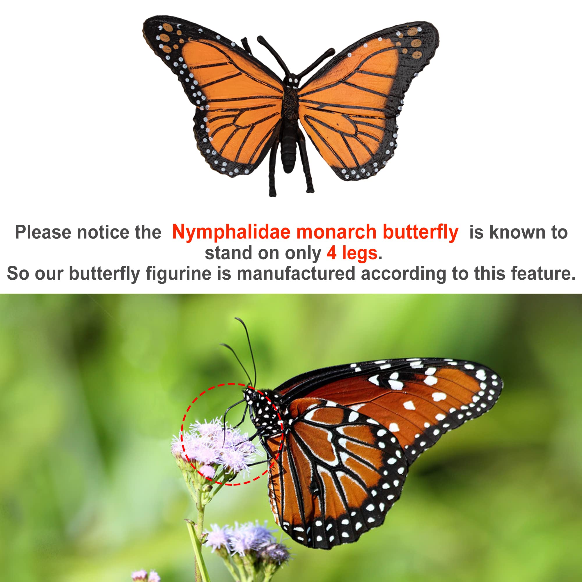 Mua Toymany 16PCS Insect Figurines Life Cycle of Monarch Butterfly ...