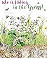 Who is Hiding in the Grass?: Margherita Borin: 9788854411470: Amazon ...