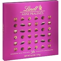 Amazon.com: Lindt Mini Pralines, Assorted Chocolate Pralines with ...