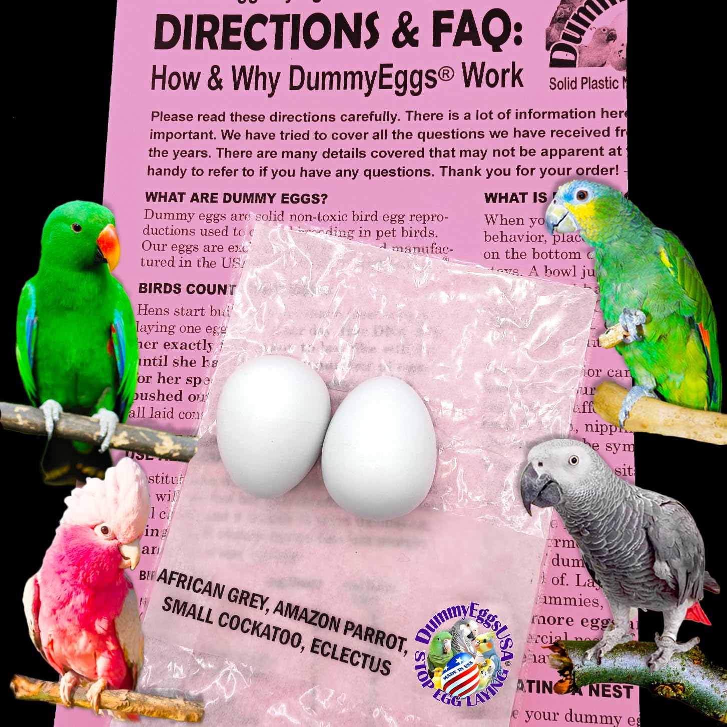 Mua 2 Medium Parrot Control Laying! 1.5" x 1.25" (3.7 x 3cm) Non-Toxic ...