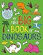 Amazon.com: My First Big Book of Dinosaurs (My First Big Book of ...