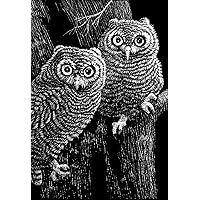 Amazon.com: Scratch Art Black Coated Scratchboards 8 1/2 in. x 11 in ...