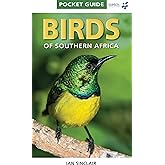 Larger Illustrated Guide to Birds of Southern Africa: Arlott, Norman ...
