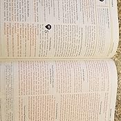 The Great Adventure Catholic Bible: Williamson, Peter, Carnazzo, Fr ...