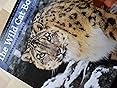 Amazon.com: The Wild Cat Book: Everything You Ever Wanted to Know about ...