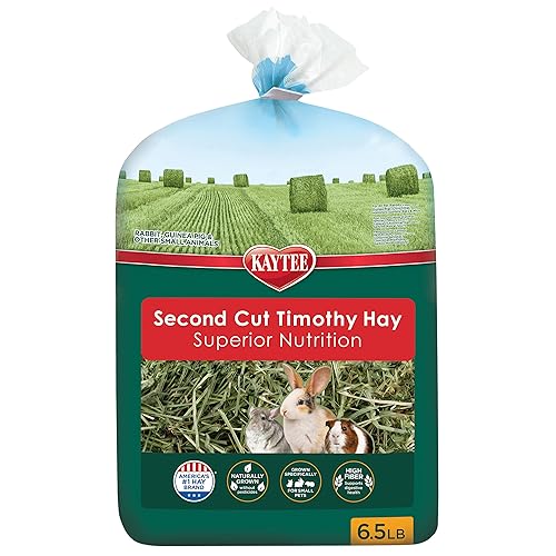 Kaytee 2nd Cut Soft and Lush Timothy Hay for Pet Guinea Pigs, Rabbits ...