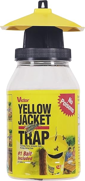 Victor Reusable Wasp Trap (Includes Bait): Amazon.co.uk: Garden & Outdoors