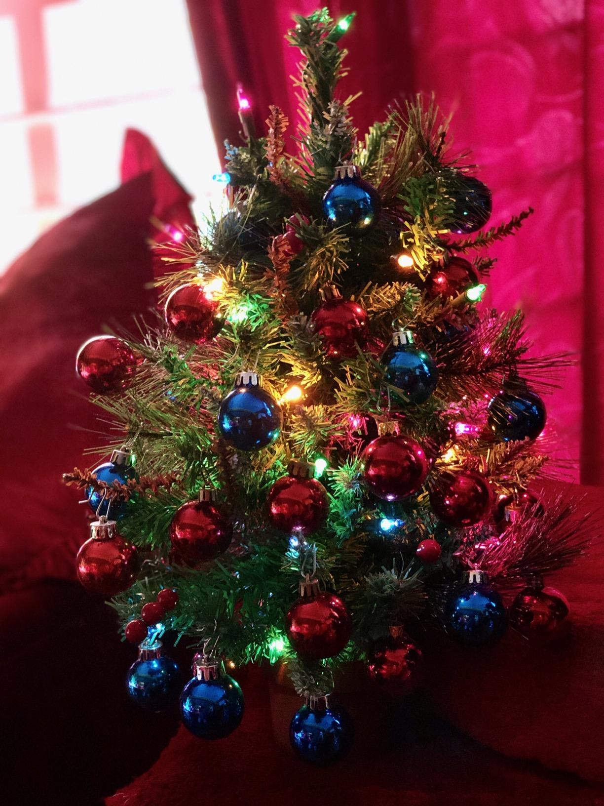 $5/mo - Finance Mini Small Little Tabletop Prelit Christmas Tree 22 ...