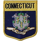 Amazon.com: Flagline Georgia (2003) - State Shield Patch : Clothing ...