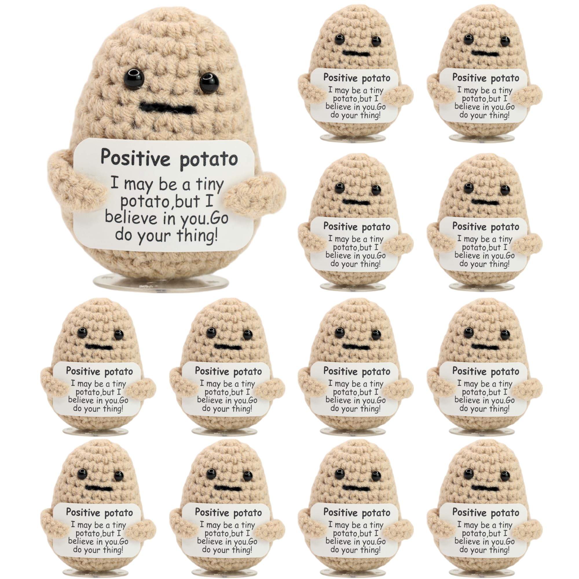 The trend collection 15 Pack Positive Potato Bulk with Stands ...