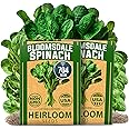 Amazon.com : HOME GROWN Bloomsdale Spinach Seeds - 2 Bulk Packs ...