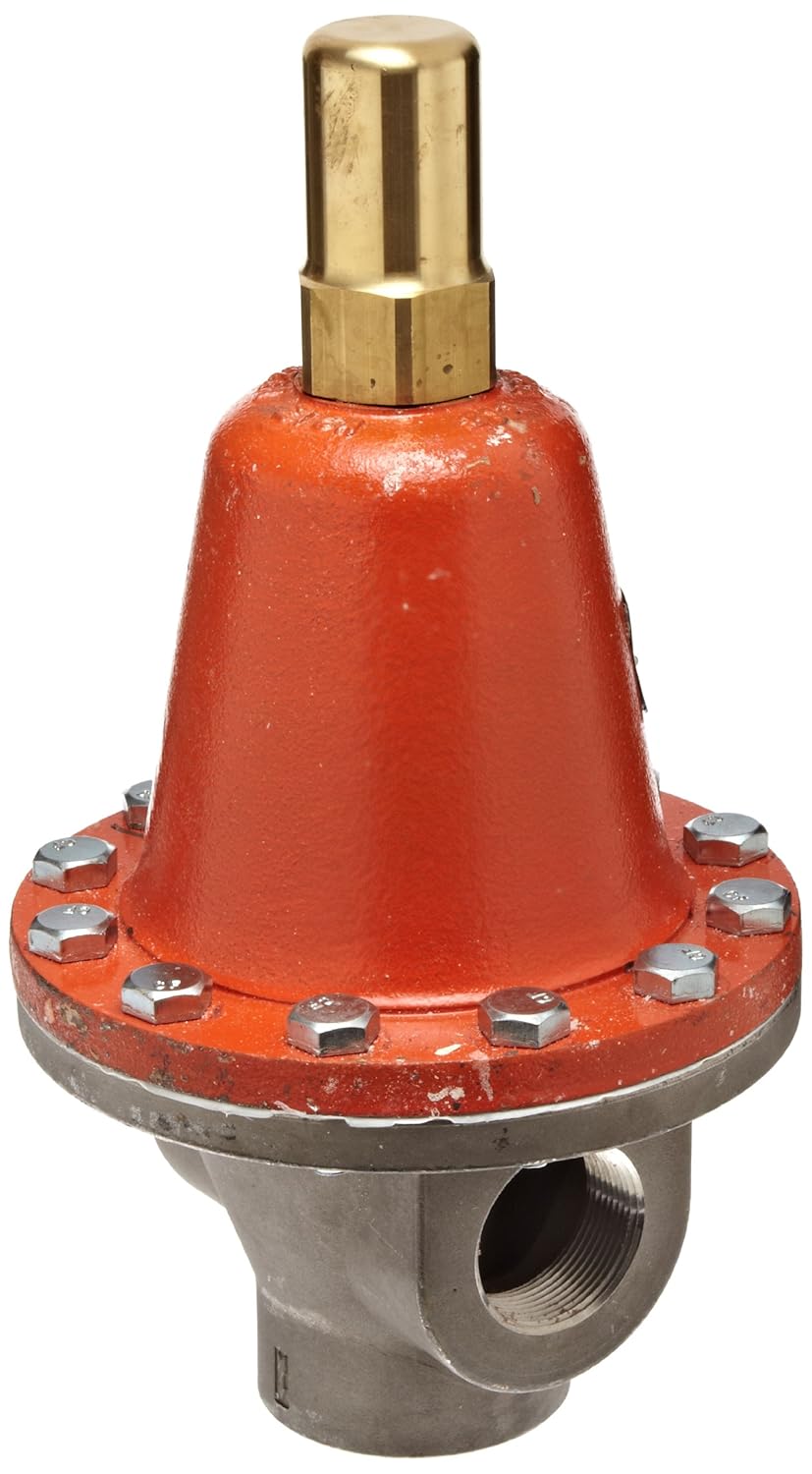 Cash Valve 13758-0213 Stainless Steel Back Pressure Relief Valve ...