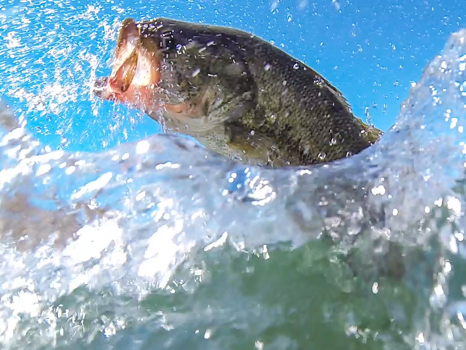 Watch Fishing with Gary Senft | Prime Video