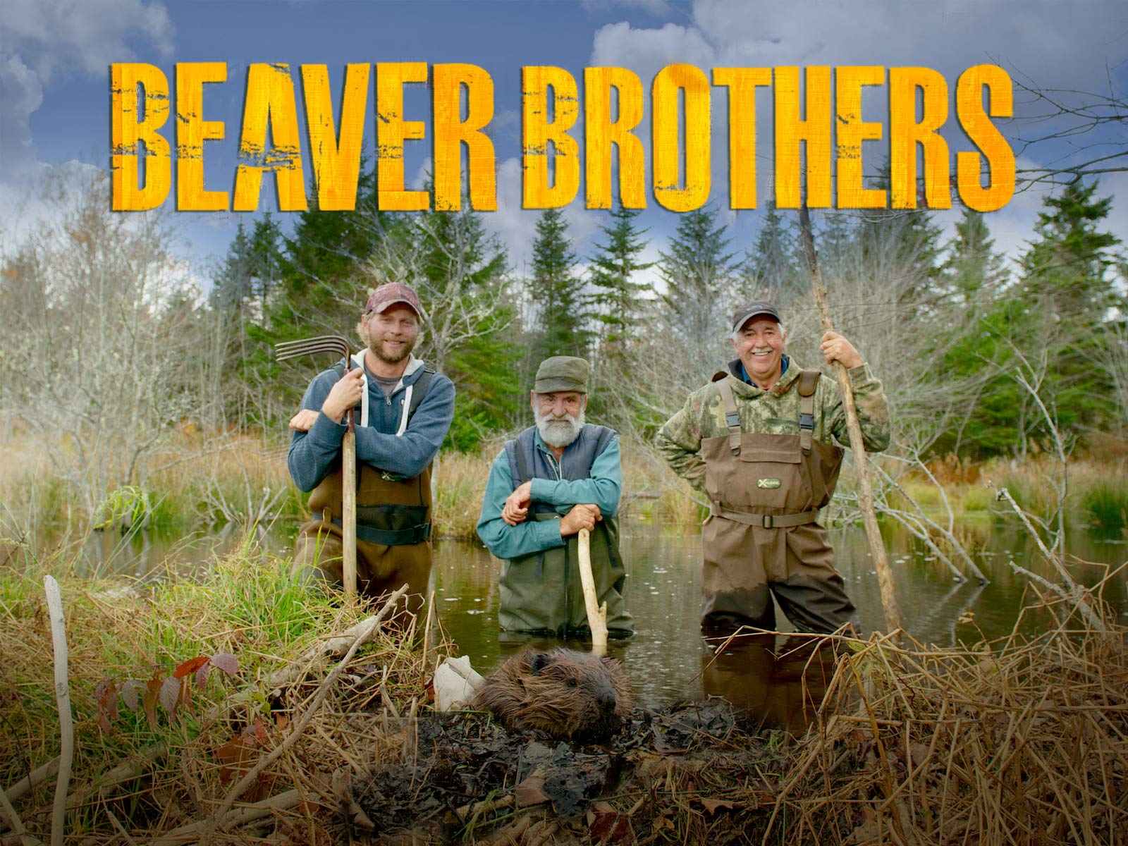 Watch Beaver Brothers - Season 1 | Prime Video
