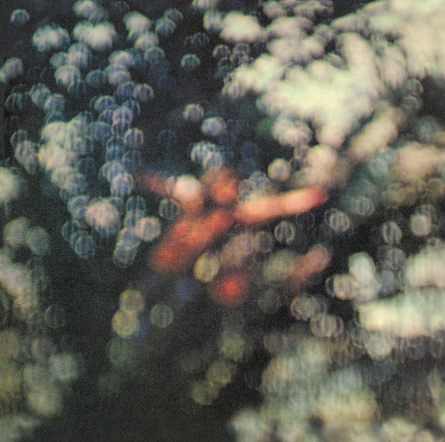 Obscured By Clouds [Vinyl LP]: Amazon.de: Musik-CDs & Vinyl