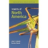 A Peterson Field Guide To Insects: America North of Mexico (Peterson ...