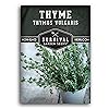 Survival Garden Seeds - Thyme Seed for Planting - Packet with ...