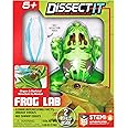 Amazon.com: Dissect-It Simulated Synthetic Lab Dissection Toy, STEM ...
