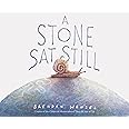 A Stone Sat Still: (Environmental and Nature Picture Book for Kids ...
