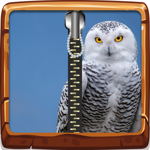 Owl Zipper Lock Screen:Amazon.com:Appstore for Android