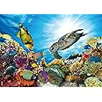 Amazon.com: BEDUKE Jigsaw Puzzles for Adults 1000 Pieces Ocean Animals ...