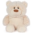 Amazon.com: GUND Bubbles Teddy Bear Stuffed Animal, Premium Bear Plush ...