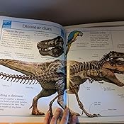 Big Book of Dinosaurs: DK Publishing: 9781564587183: Amazon.com: Books