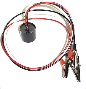 Amazon.com : The Catfish Junkie - Stunner / Shocker : Sports & Outdoors