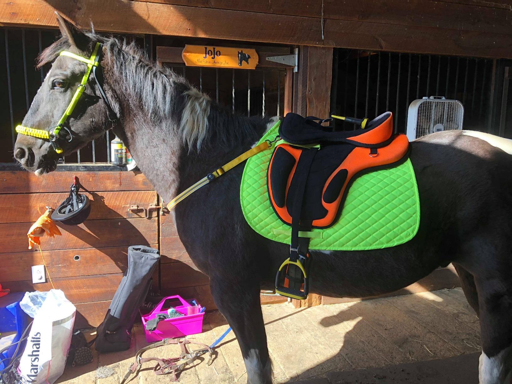 $5/mo - Finance TuffRider Basic All Purpose Saddle Pad | Equestrian ...