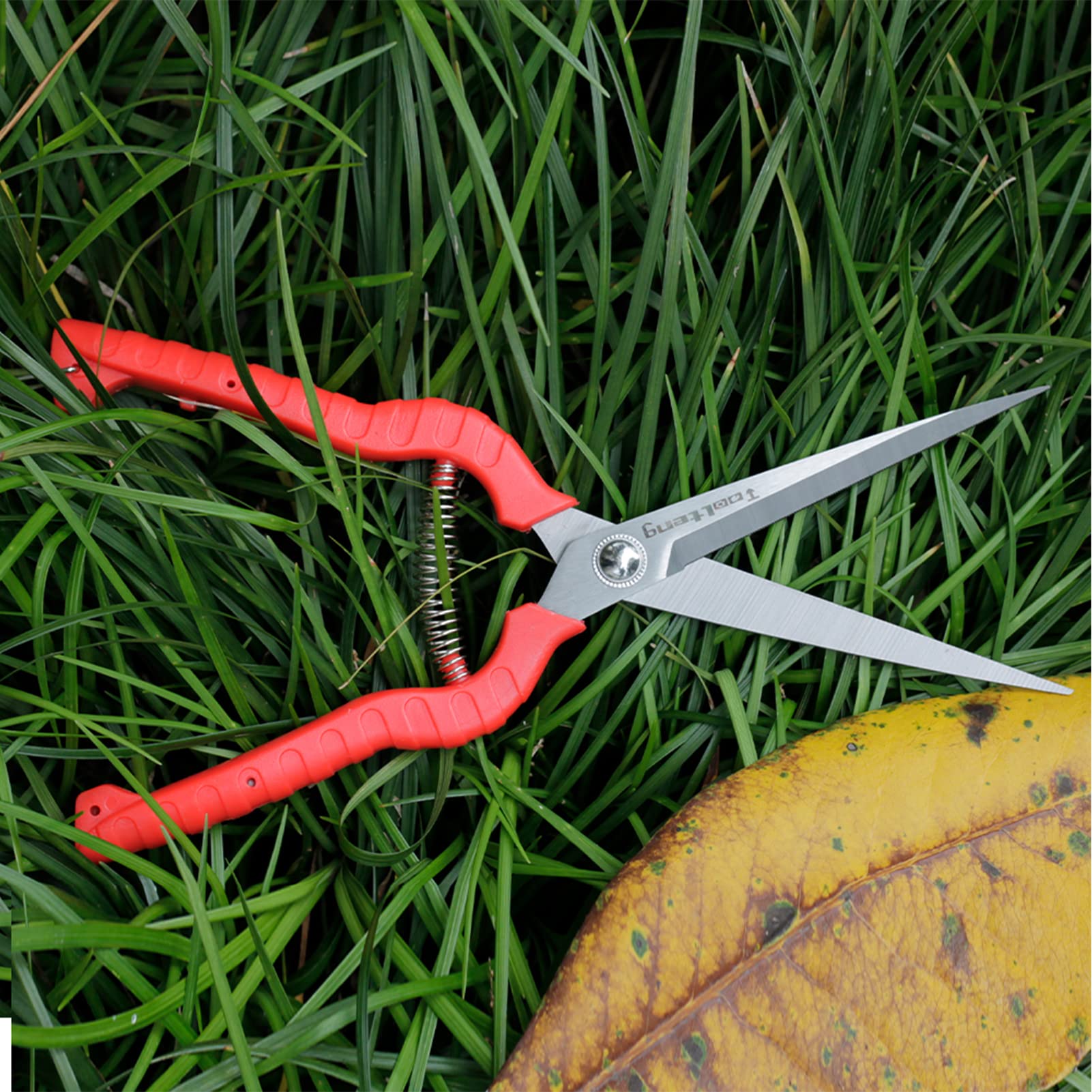 Mua Extra Long Stainless Steel pruners Bonsai Plant Trimming Scissors ...