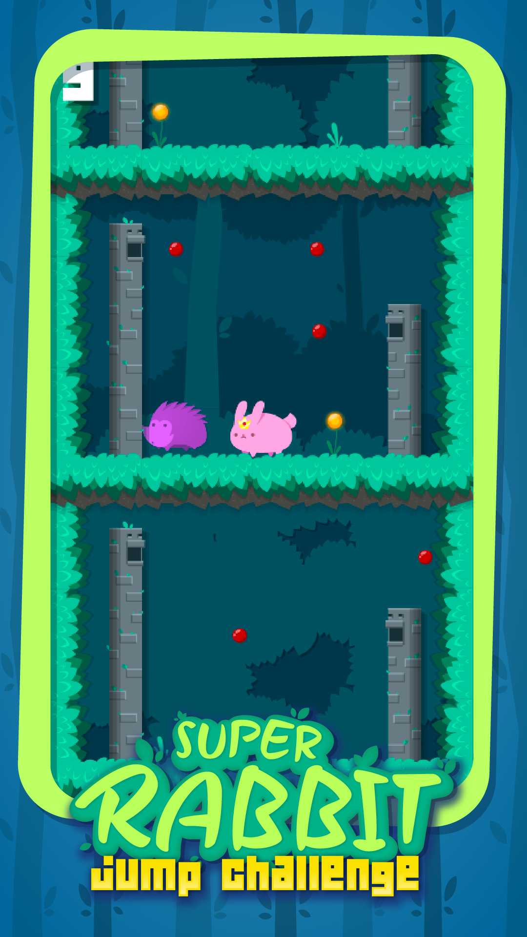 Amazon.com: Super Rabbit Jump Challenge - Cute pets jumping endless one ...