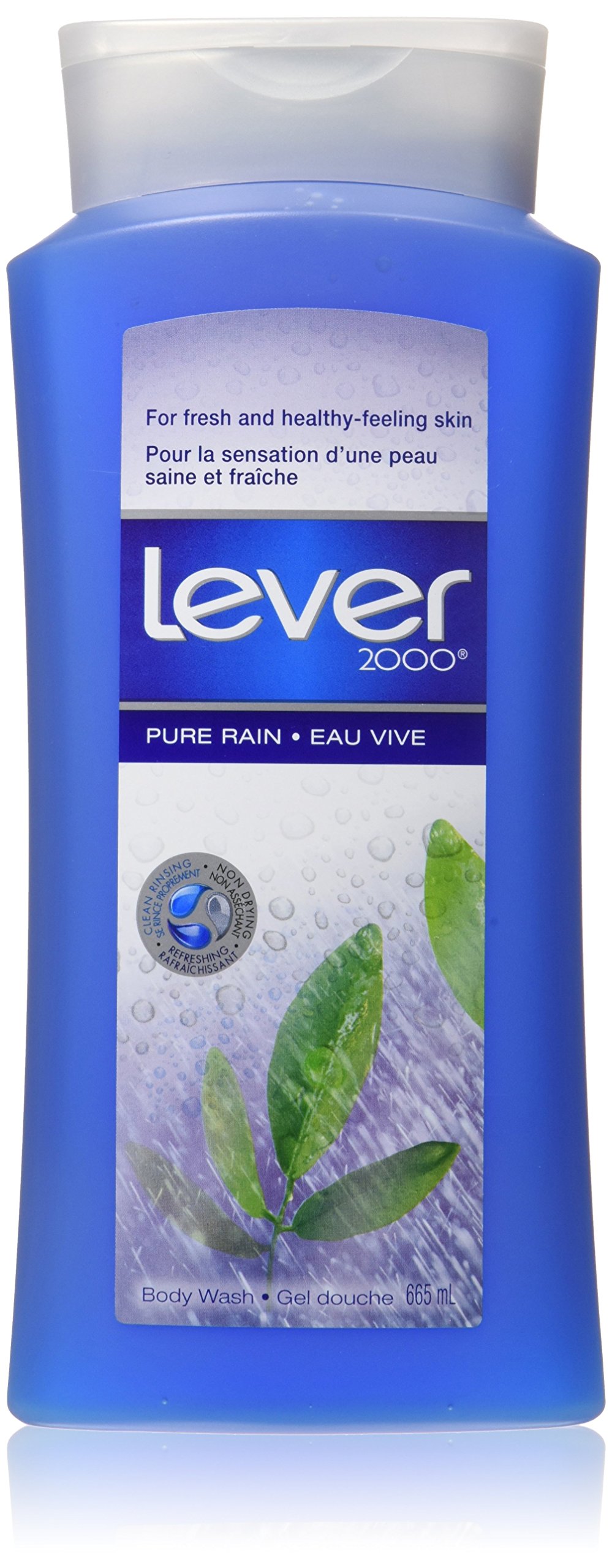 Amazon.com : Lever 2000 Body Wash Original, 16.9 Ounce : Bath And ...