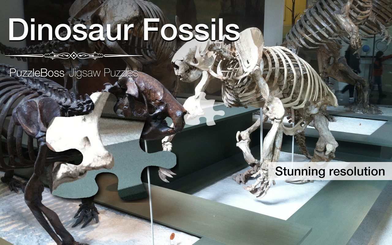 Dinosaur Fossils Jigsaw Puzzles:Amazon.de:Appstore for Android