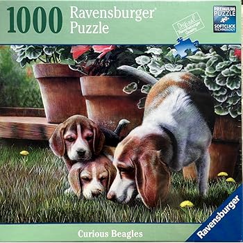 Amazon.com: Beagles 1000 Piece Panorama Jigsaw Puzzle: Toys & Games
