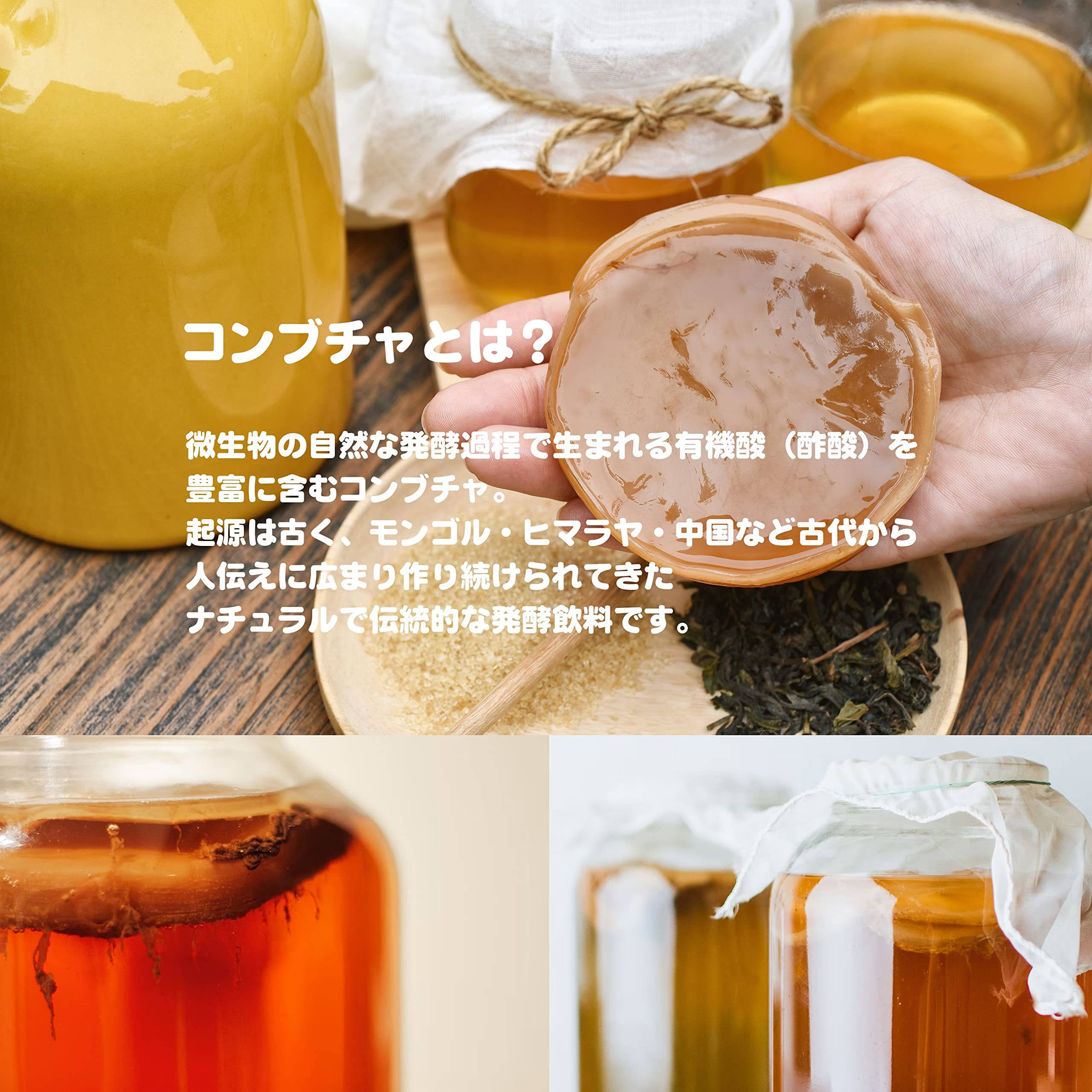 Mua Kombucha Starter Kit, Made in Japan, Ise Shima KONBUCHA SCOBY (Made ...