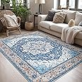 Amazon.com: Lessymo 5x7 Area Rugs 5x7, Machine Washable Area Rugs ...