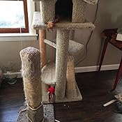 Amazon.com : New Cat Condos Premier Large Cat Pagodas Tree, Gray : Pet ...
