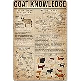 Amazon.com: Goat Knowledge Metal Tin Signs Goat Anatomy Vintage Poster ...