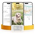 Amazon.com: Petcube GPS Tracker for Dogs | Pet GPS Location Tracker with Escape Alerts and ...