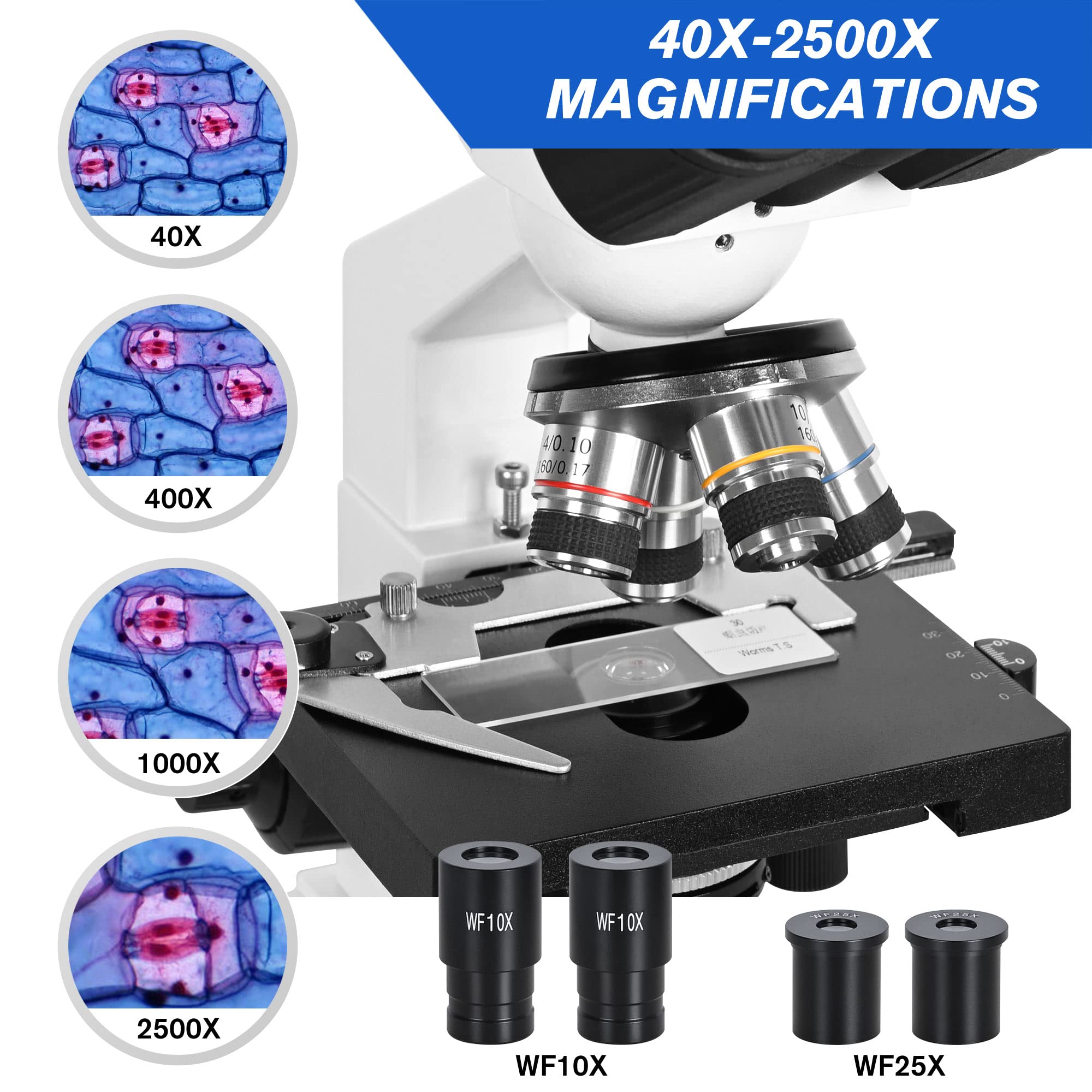 HSL 40x-2500x Compound Binocular Microscope For Adults Professional ...