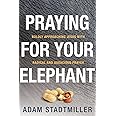 Praying for Your Elephant: Boldly Approaching Jesus with Radical and ...