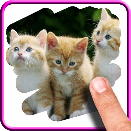 Scratch The Cat:Amazon.com:Appstore for Android