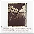Surfer Rosa LP + Download: Pixies, Pixies, Pixies: Amazon.ca: Music