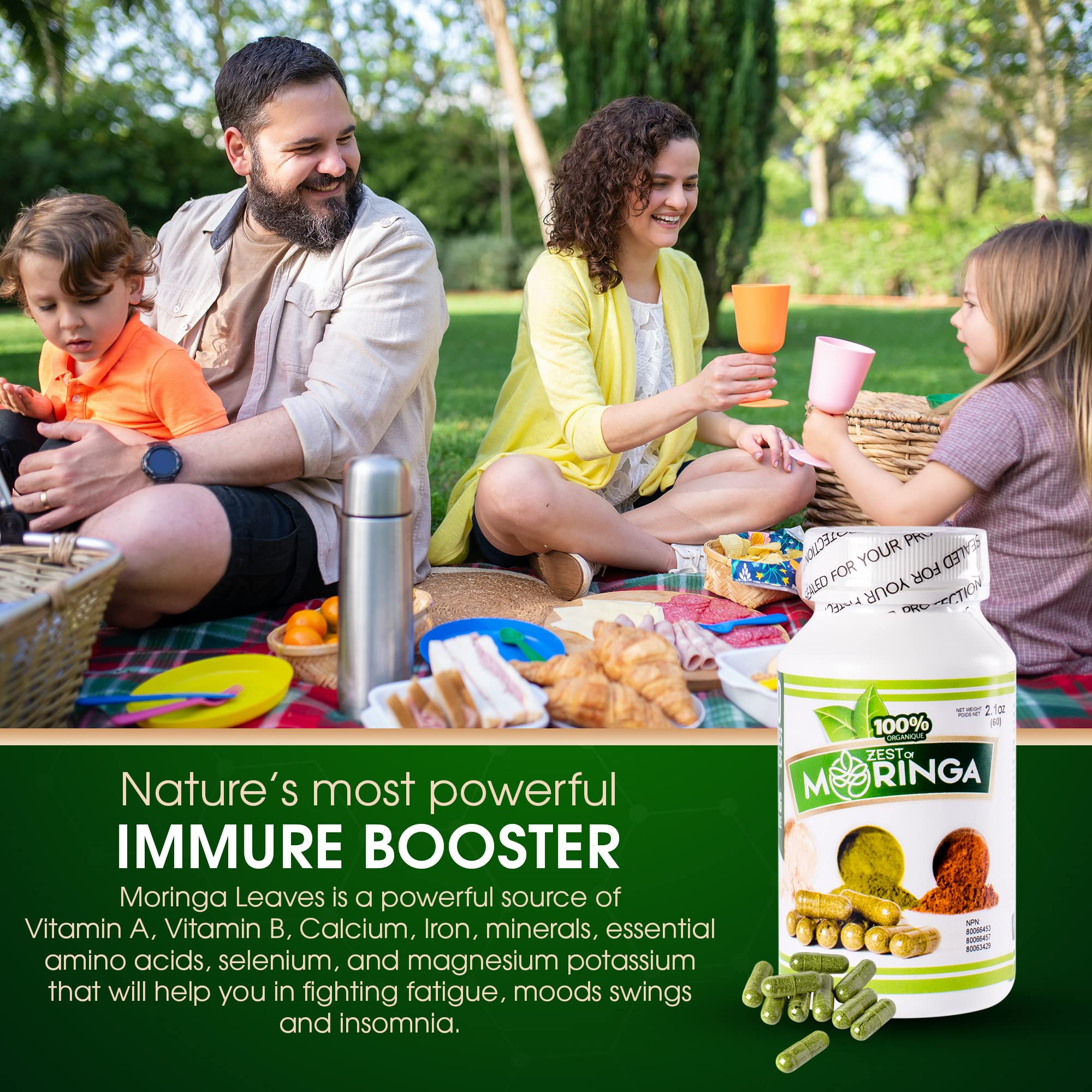 Mua Moringa Oleifera Capsule Supplement | 100 Capsules - 500MG Made ...