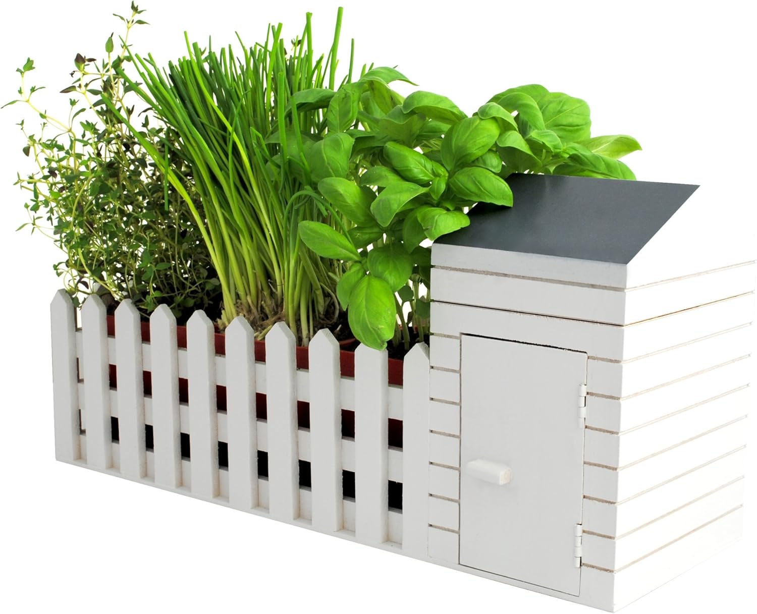 Oliphant Indoor Allotment Gift Set Herb Garden – BigaMart