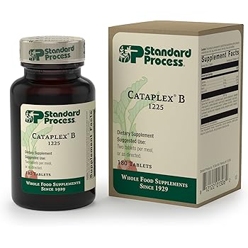 Amazon.com: Standard Process - B6 Niacinamide - Gluten Free B-Vitamin ...