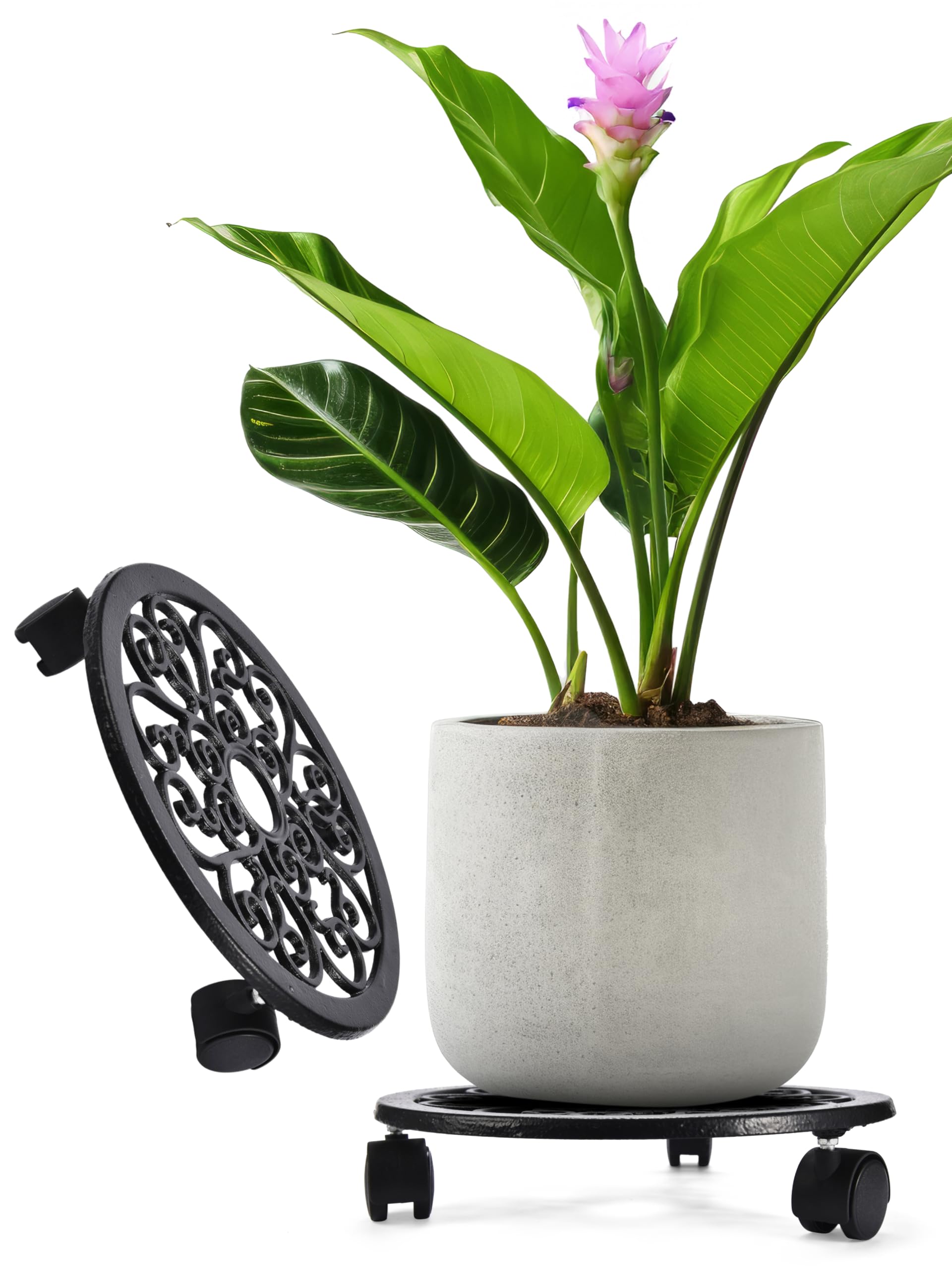 2WAYZ Plant Stand with Wheels - Heavy-Duty Rolling Plant Caddy - Dolly ...